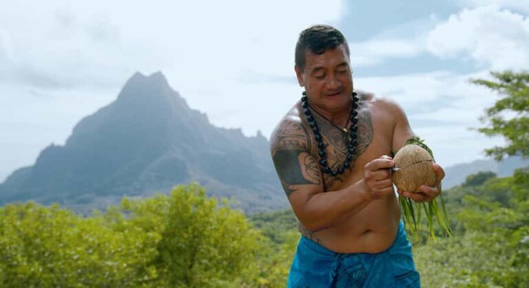 Moorea: Half-Day Open-Air 4WD Safari with Hotel Transfers - Who Will Love This Tour?