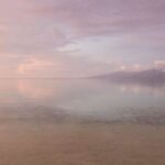 Moorea Highligts: Blue Lagoon Shore Attractions and Lookouts - Transportation, Duration, and Group Size