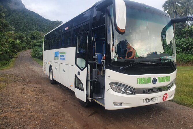 Moorea Island Tour - What Travelers Say: Authentic Insights