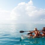 Moorea Lagoon Tour by Transparent Kayak - Who Should Consider This Tour?
