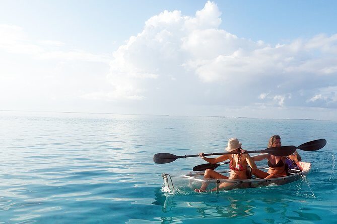 Moorea Lagoon Tour by Transparent Kayak - Who Should Consider This Tour?