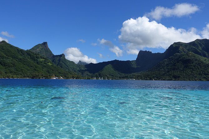 Moorea Private Boat Tour / Sea Scooter Snorkeling Tour - Our Honest Take