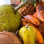 Moorea Tahitian Cooking Class - The Allure of the Moorea Tahitian Cooking Class