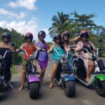 Moorea tour in electric citycoco (in autonomy) - Who is this tour best suited for?