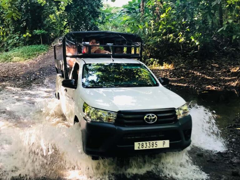 Moorea:4X4 safari excursion between land and sea with lunch - Authentic Insights from Past Travelers