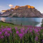 Moraine Lake and Iconic Sights of the Rockies Private Tour - Who Should Consider This Tour?