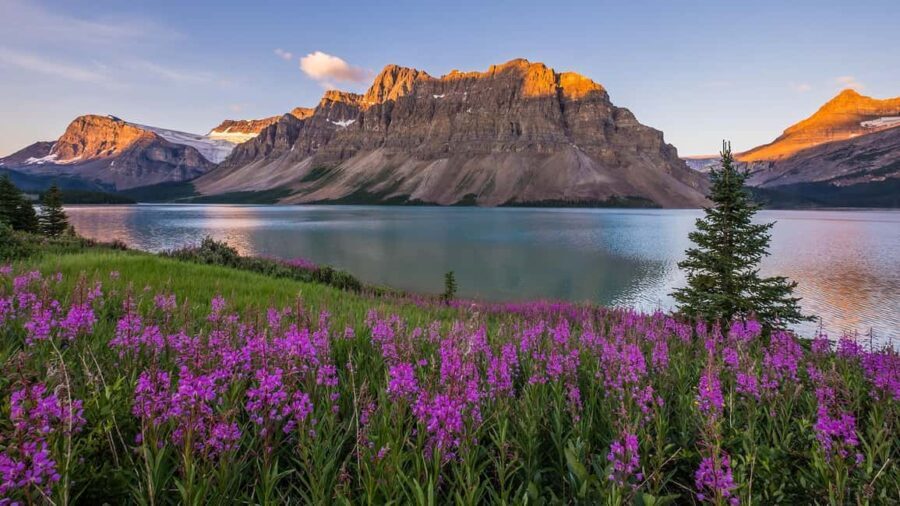 Moraine Lake and Iconic Sights of the Rockies Private Tour - Who Should Consider This Tour?