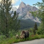 Moraine Lake, Lake Louise Afternoon Tour Half day From Banff - Authentic Insights from Reviews