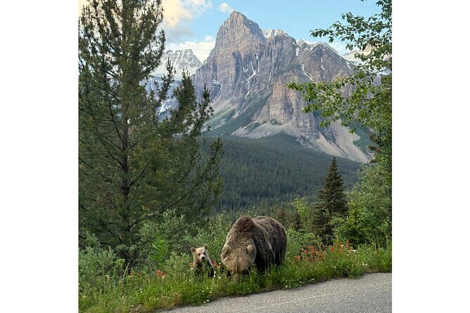 Moraine Lake, Lake Louise Afternoon Tour Half day From Banff - Authentic Insights from Reviews