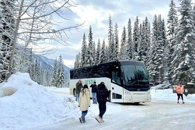 Moraine Lake, Yoho National Park, and Banff Town Trip - The Practicalities: Transportation, Guides, and Value