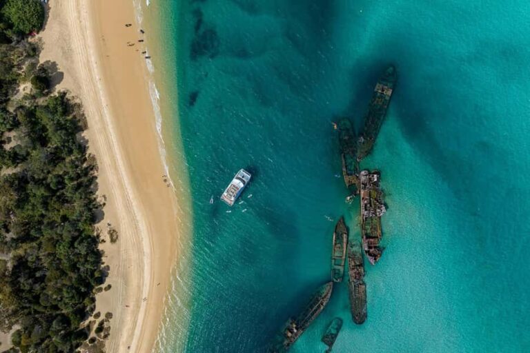 Moreton Island: Dolphin & Tangalooma Wrecks Snorkel Cruise - The Itinerary: What to Expect During Your Day