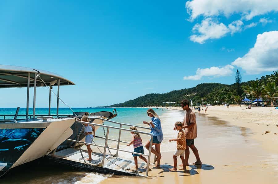 Moreton Island: Marine Discovery Cruise & Dolphin Feeding - What Travelers Really Say