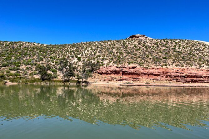 Morning Cruise on the Murchison River in Kalbarri (April to Nov) - An In-Depth Look at the Murchison River Cruise Experience