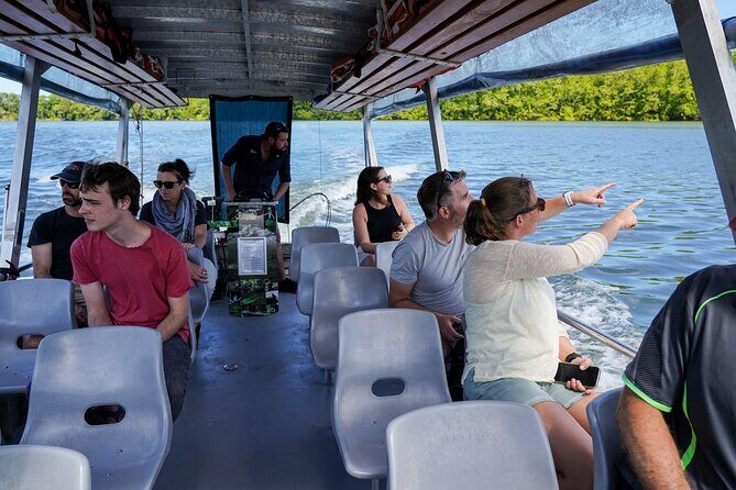 Morning Daintree Tour with River Cruise from Port Douglas - Who Will Love This Tour?