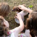 Morning Farm Experience near Gympie & Noosa - The Itinerary in Detail