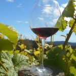 Morning Half Day Carmel Valley Wine Tasting Tour - Who Will Love This Tour?