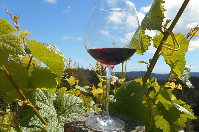 Morning Half Day Carmel Valley Wine Tasting Tour - Who Will Love This Tour?