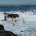 Morning or Afternoon Highlights Tour in Sydney with a Local Guide - The Practicalities: Transportation, Duration, and Price