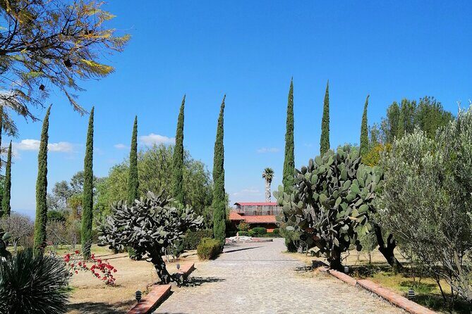 Morning Tour and Olive product tasting - Analyzing the Cost and Its Value