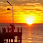 Mornington Peninsula Day Tour. Your Day Your Way. Your group only - Itinerary Breakdown: Exploring the Best of Mornington Peninsula