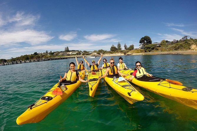 Mornington Peninsula Kayak Coastline Tour of Dolphin Sanctuary - What You Should Know Before Booking