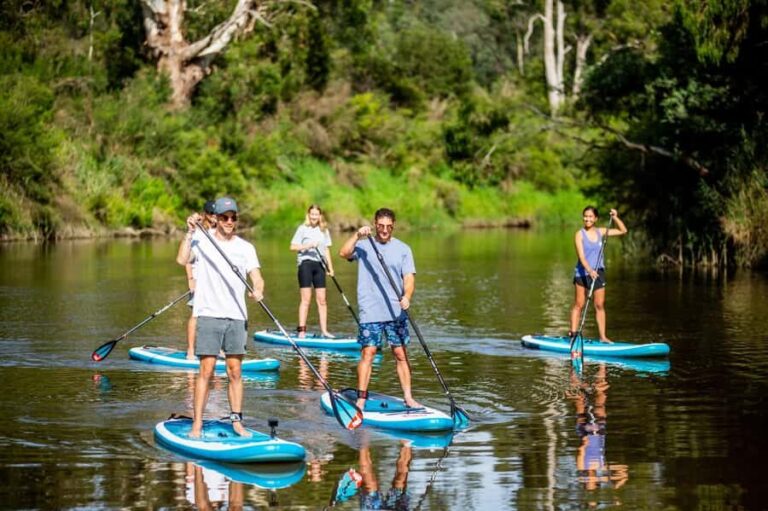 Mornington Peninsula: SUP & Snorkel Safari Tour incl Brunch - The Ocean SUP & Snorkel Experience