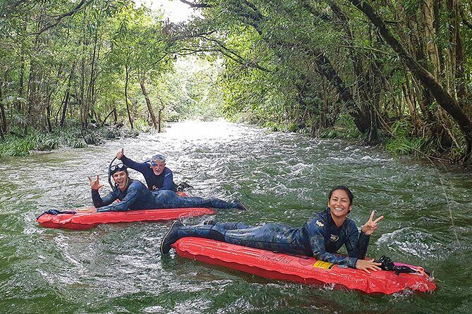 Mossman Gorge Adventure Day - An In-Depth Look at the Mossman Gorge Adventure Day