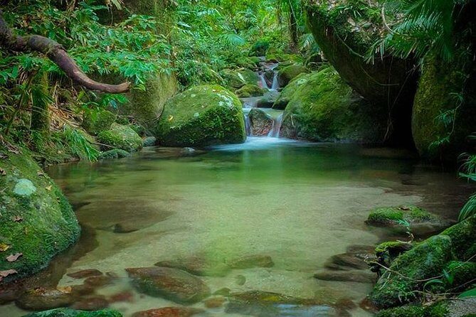 MOSSMAN GORGE TRANSFER between Port Douglas and Mossman Gorge (return) - Who Should Consider This Transfer?