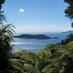 Motuara Island Bird Sanctuary and Ship Cove Cruise from Picton - Analyzing the Experience and Value