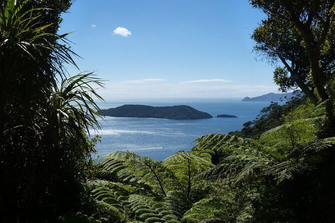 Motuara Island Bird Sanctuary and Ship Cove Cruise from Picton - Analyzing the Experience and Value
