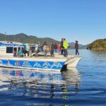 Motuara Wildlife Sanctuary Tour and Dolphin Cruise from Picton - What Sets This Tour Apart?
