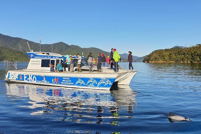 Motuara Wildlife Sanctuary Tour and Dolphin Cruise from Picton - What Sets This Tour Apart?
