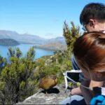 Mou Waho Island: 3-Hour Cruise and Guided Nature Walk - Who Will Love This Tour?