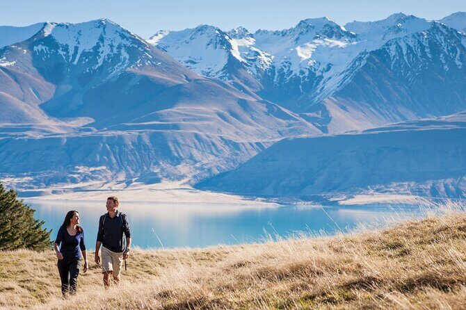 Mount Cook Small Group Scenic Tour - The Sum Up