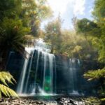 Mount Field Day Tour Private Charter Service ( 3 days in advance - Summary and Final Thoughts