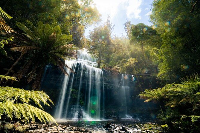 Mount Field Day Tour Private Charter Service ( 3 days in advance - Summary and Final Thoughts