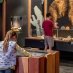 Mount Isa: Riversleigh Fossil Discovery Centre Guided Tour - FAQs