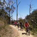 Mount Lofty Downhill Bike Tour & Cleland Wildlife Park Visit - Practical Details & What You Need to Know