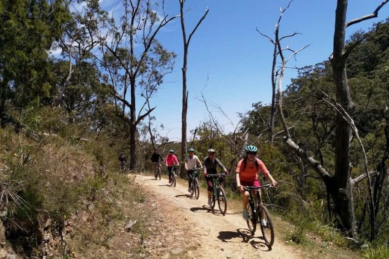 Mount Lofty Downhill Bike Tour & Cleland Wildlife Park Visit - Practical Details & What You Need to Know