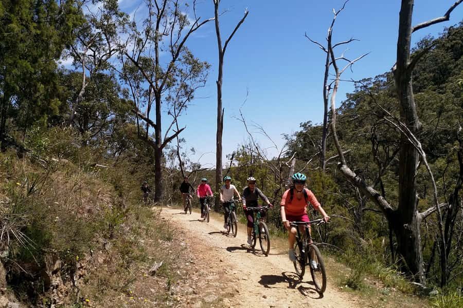 Mount Lofty Downhill Bike Tour & Cleland Wildlife Park Visit - Practical Details & What You Need to Know