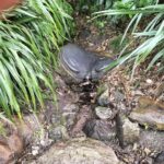 Mount Maunganui Hkoi Walking Tour - Practical Details and What to Expect