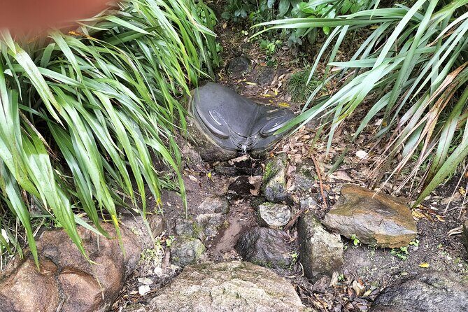 Mount Maunganui Hkoi Walking Tour - Practical Details and What to Expect