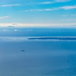 Mount Maunganui Scenic Flight: Departing Tauranga Airport - Practical Details and What You Need to Know