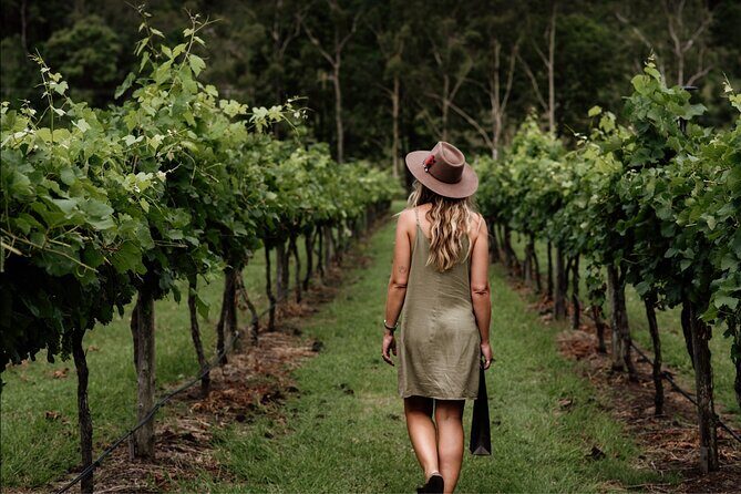 Mount Tamborine Winery Tour with Gourmet lunch - Authentic Guest Experiences and Insights