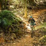 Mountain Bike Tour - Cairns - Why This Tour Offers Excellent Value