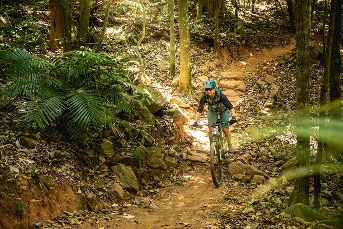Mountain Bike Tour - Cairns - Why This Tour Offers Excellent Value
