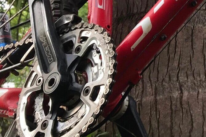 Mountain Bike Tours - An In-Depth Look at the Mountain Bike Tour