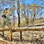 Mountain Biking Tour at La Primavera Forest - The Itinerary and What to Expect