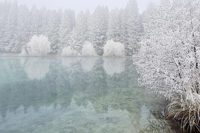 Mt Cook Private Tour from Dunedin: Finish at Queenstown, Dunedin - Omarama and the Sheep Statue: Local Charm and Lunch Breaks