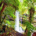 Mt Field National Park and Russell Falls from Hobart - Transportation and Comfort